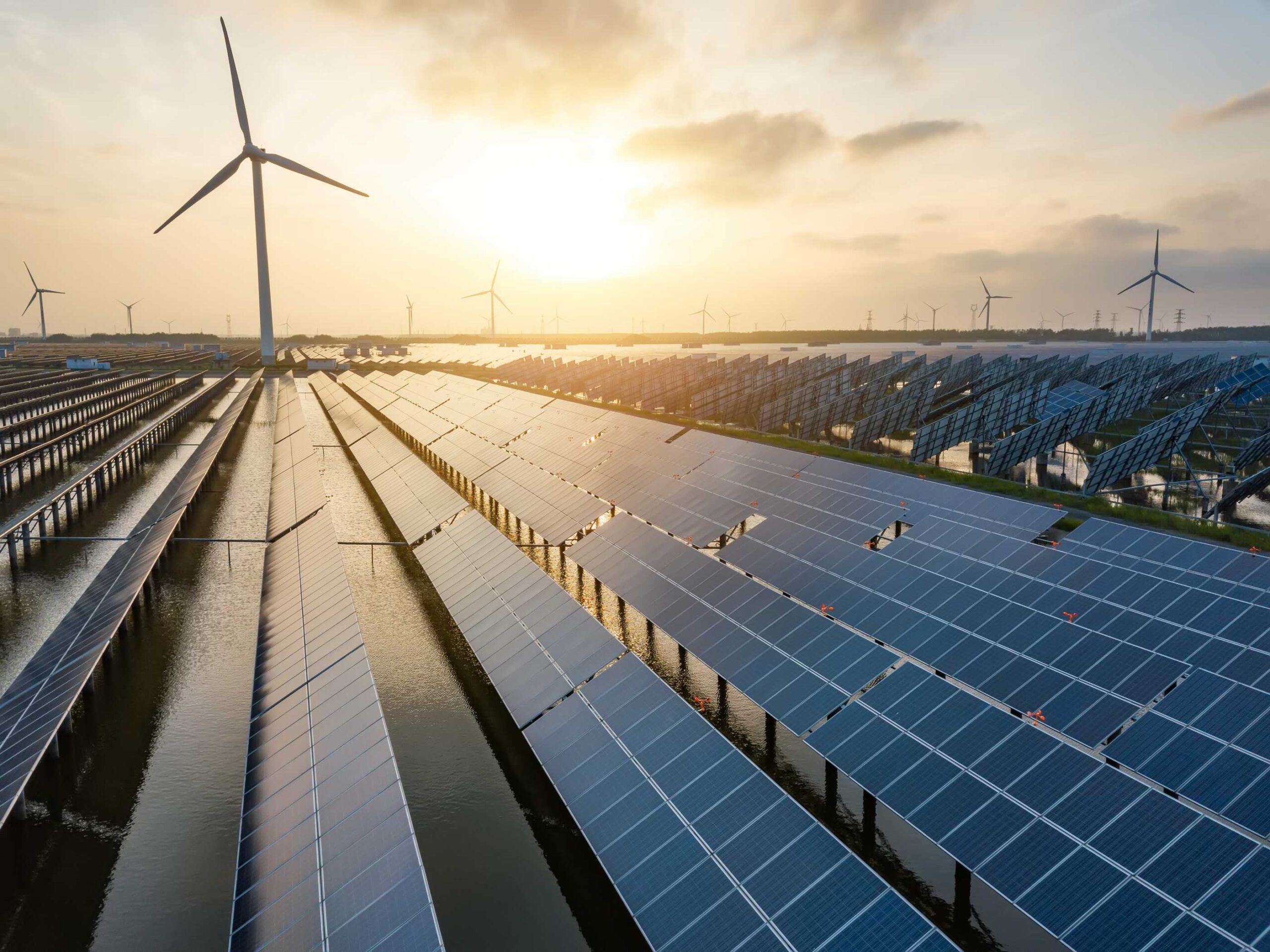 About CG Green Energy | Solar Solutions for a Sustainable Future